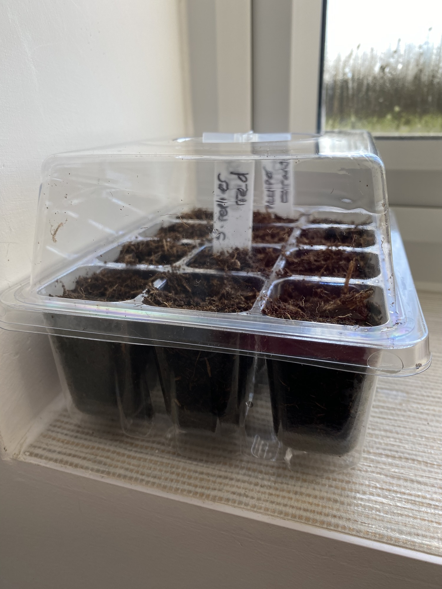 How to Create a Simple Seed Sowing Setup Indoors – Sow Grow Harvest.co.uk